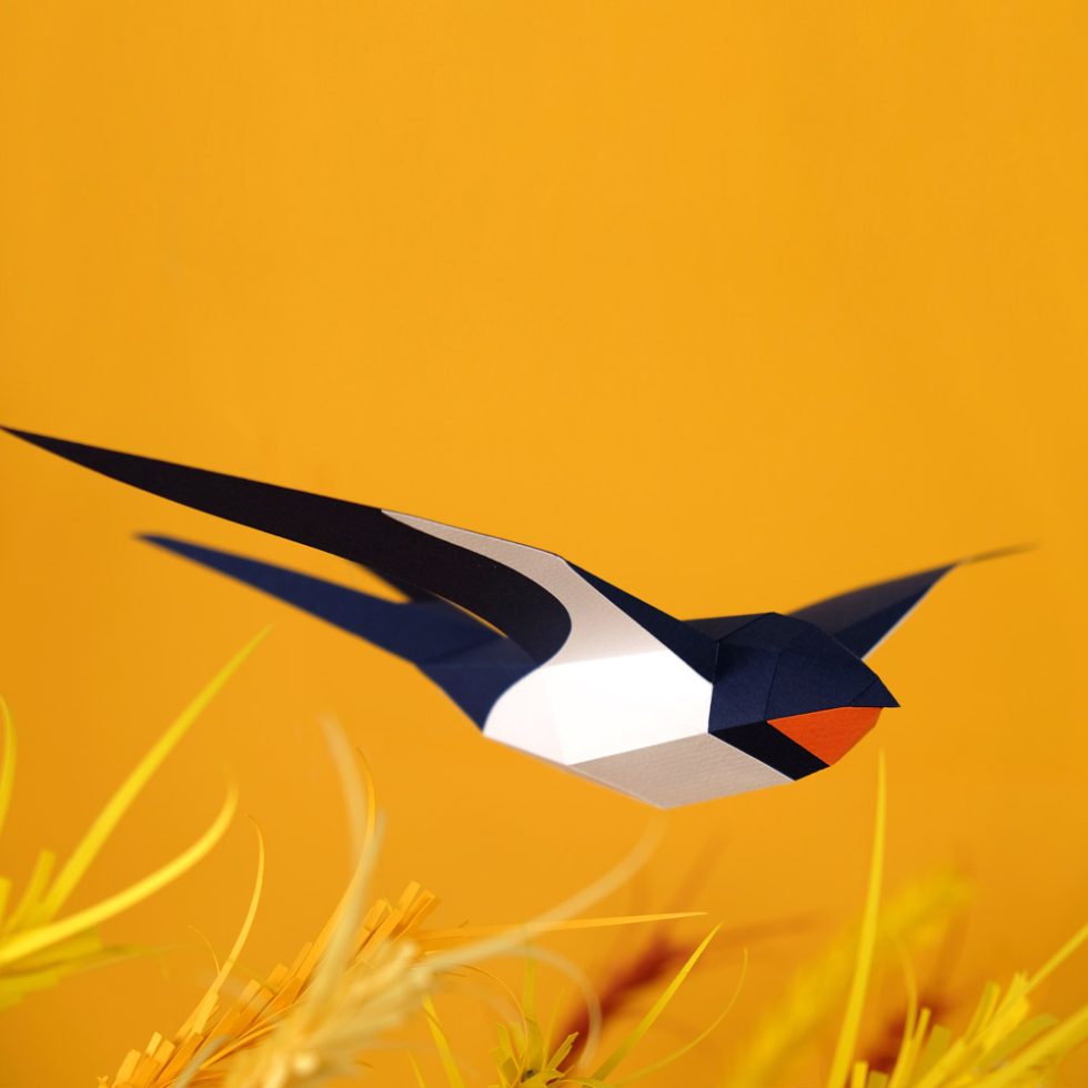 Hirundo Rustica | plego.art