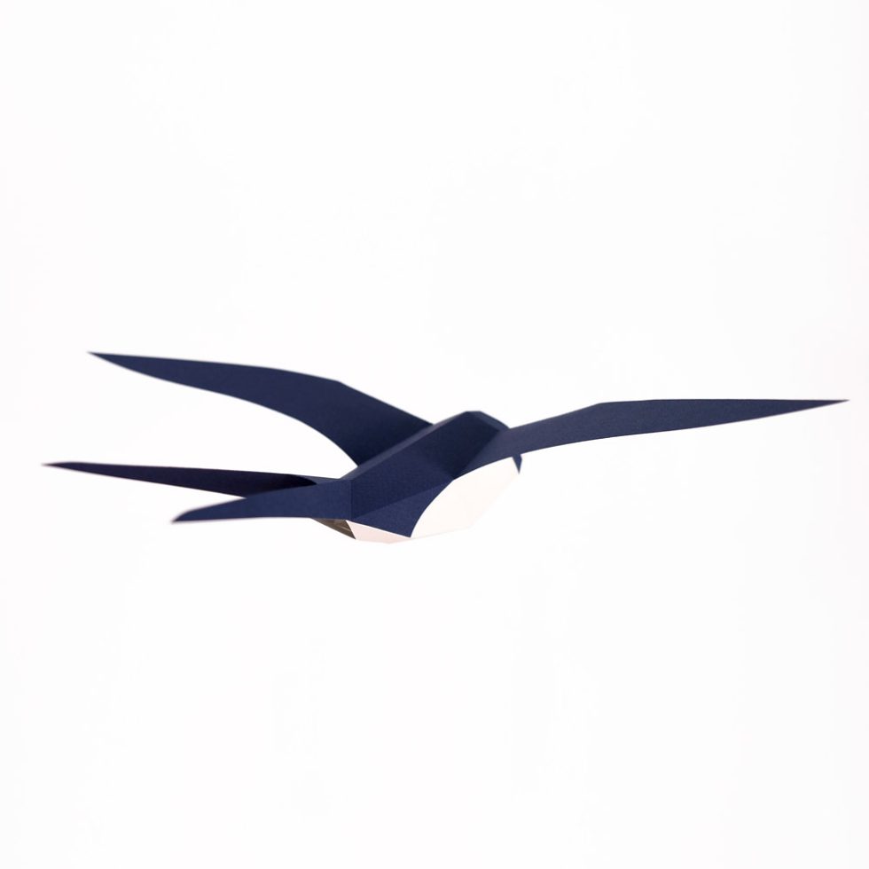 Hirundo Rustica | plego.art